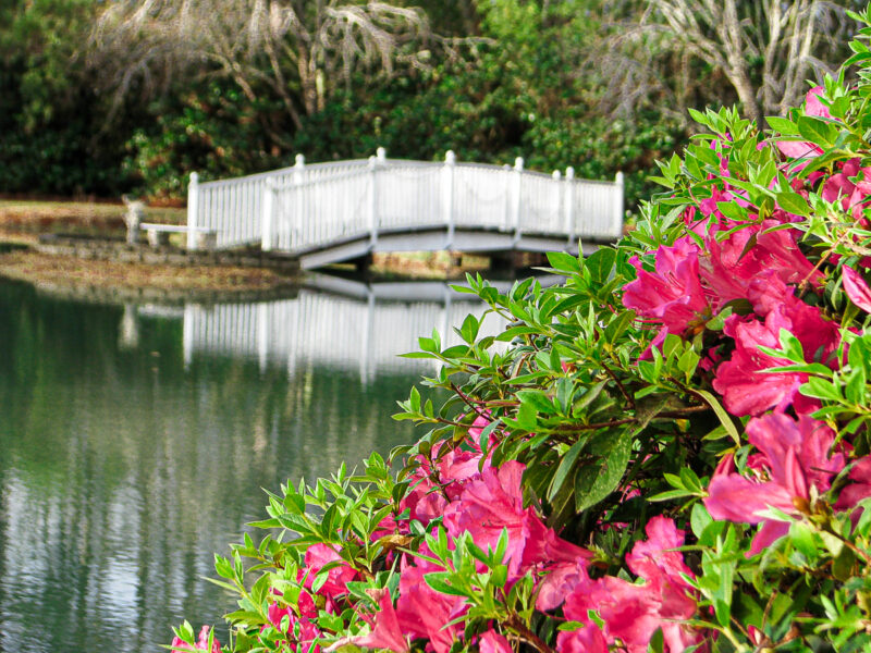 Communities - For All Things Mobile, Eastern Shore and Gulf Coast Alabama